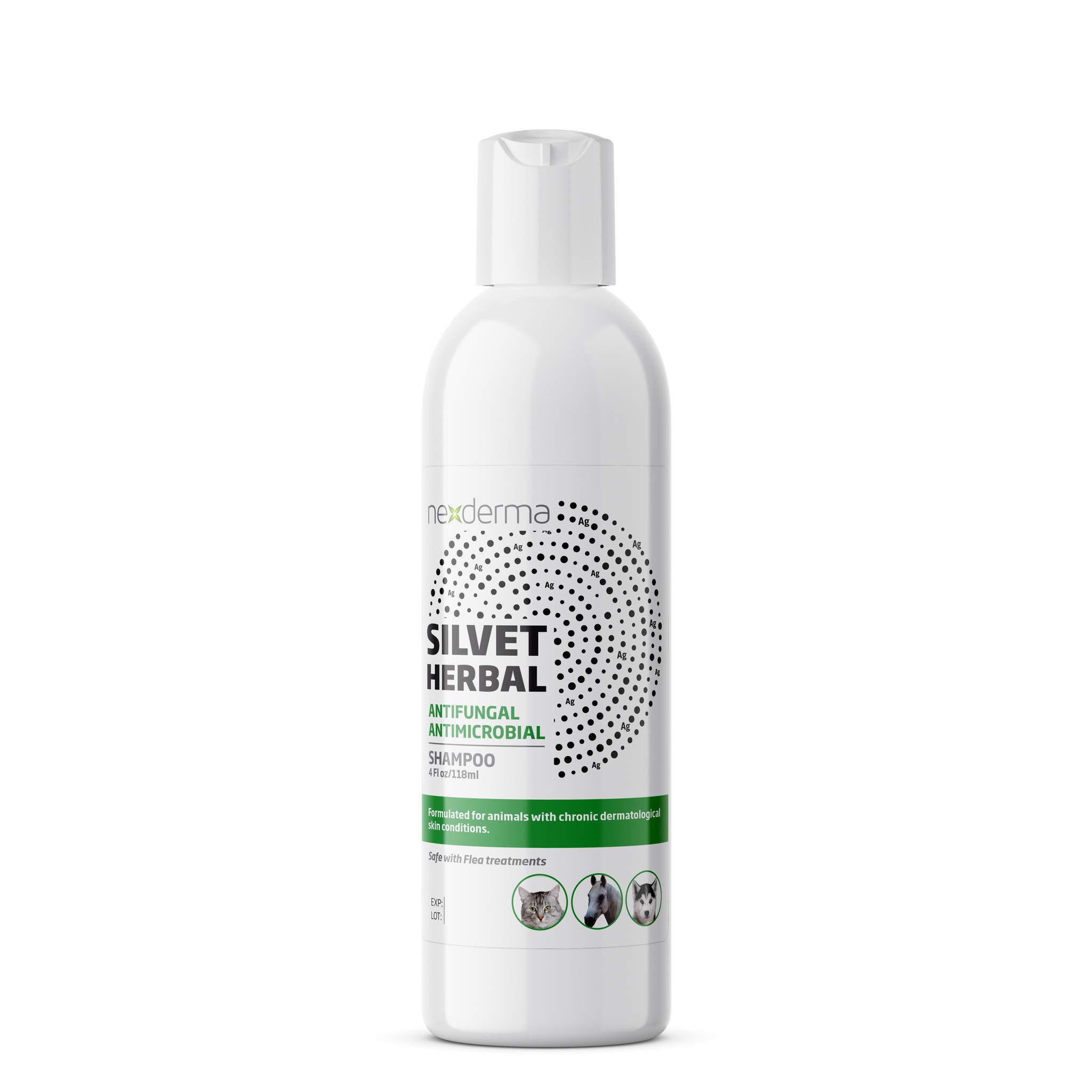 What Shampoo Ingredients Are Bad For Dogs