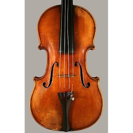 SG Musical A superb certified Handmade Behala/Violin : Amazon.in ...