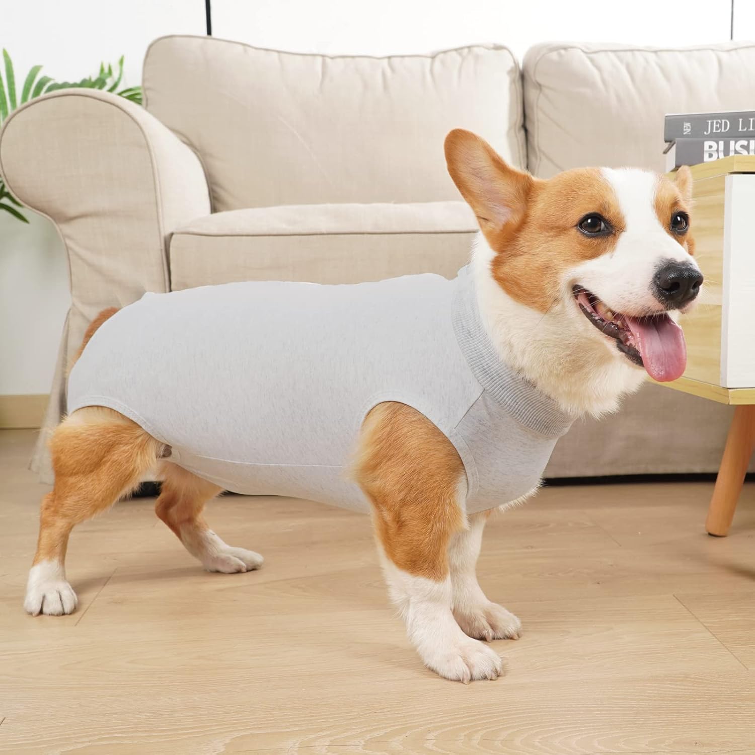 HEYWEAN Dog Recovery Suit Spay Suit for Female Dog Bodysuit After ...