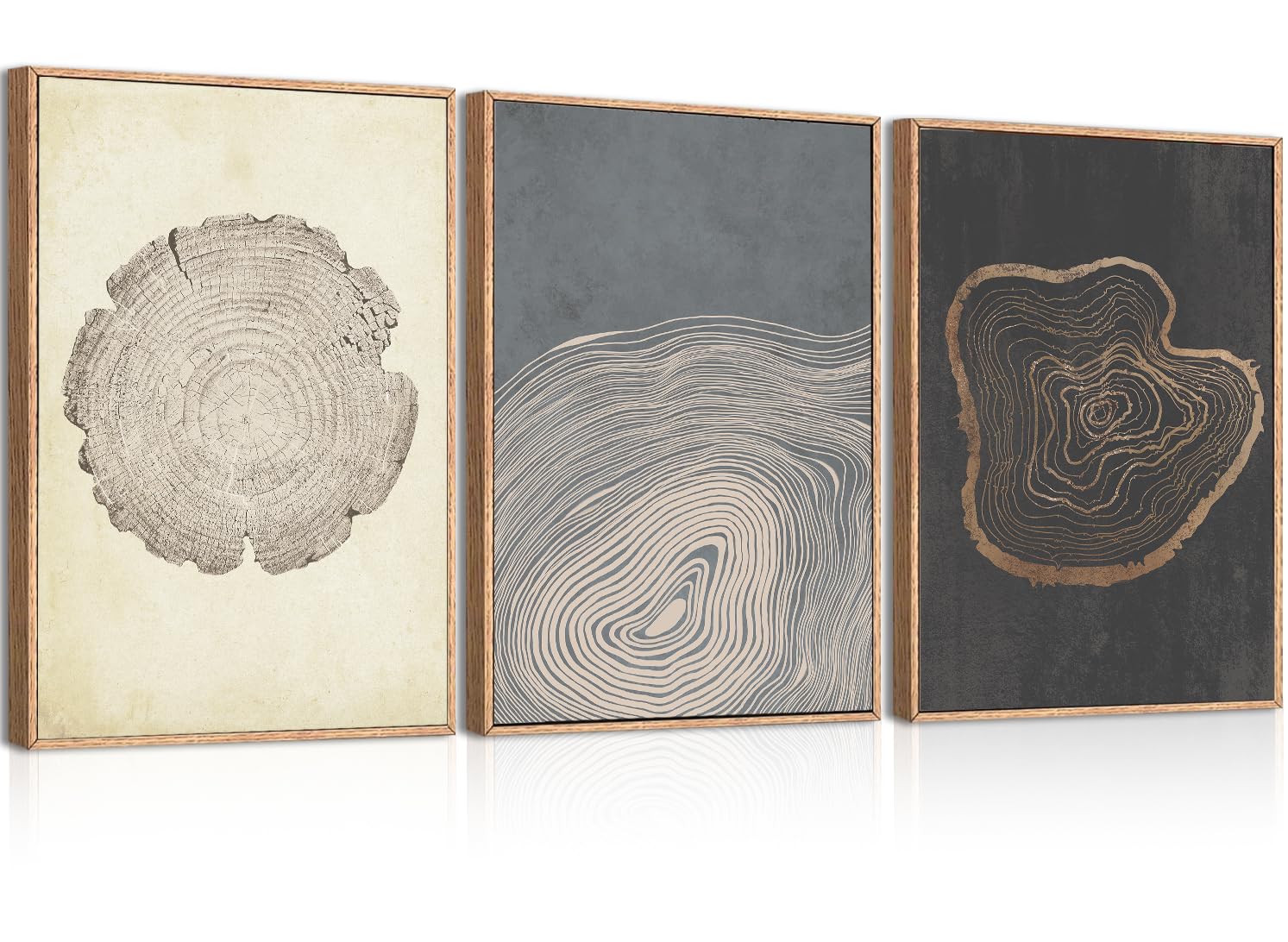 Amazon.com: Anyzal Framed Tree Ring Canvas Wall Art Set of 3 Modern ...