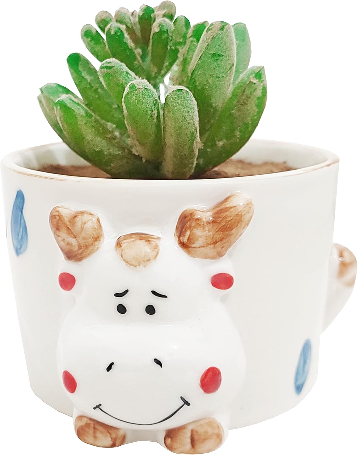 Amazon.com: Succulent Pot,Cute 3.34 Inch Animal Shaped Ceramic ...