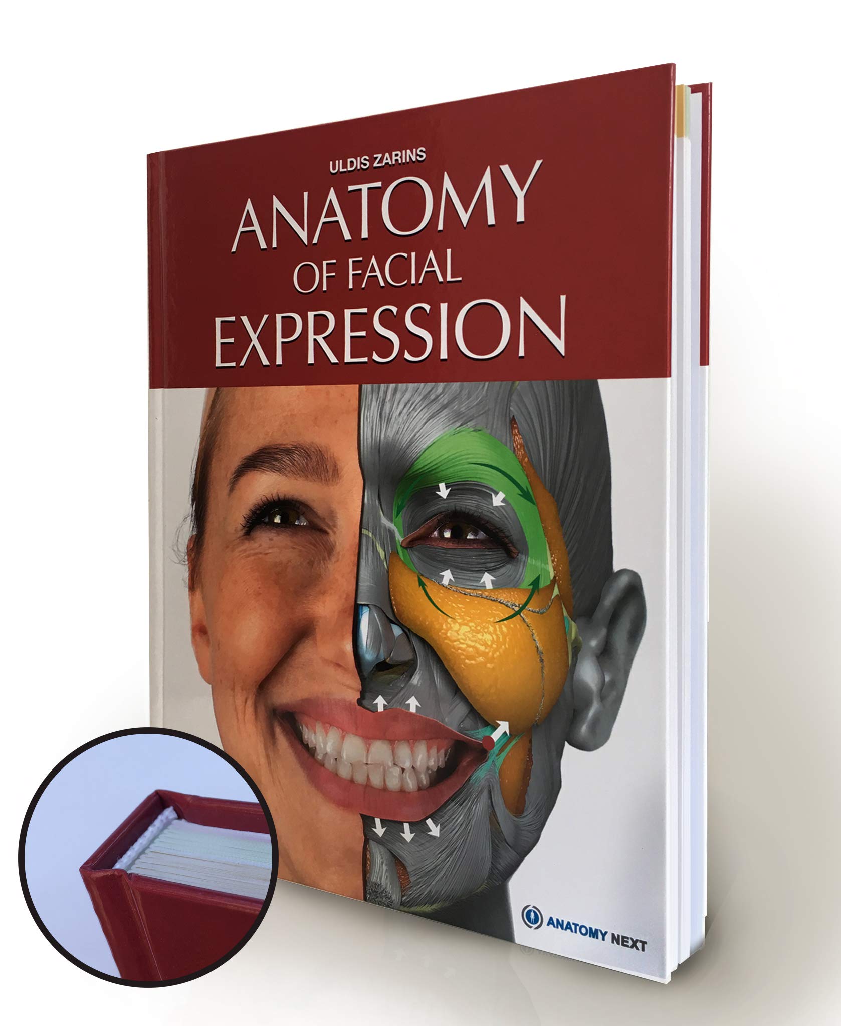 Buy Anatomy of Facial Expression Hardcover Online at desertcartINDIA