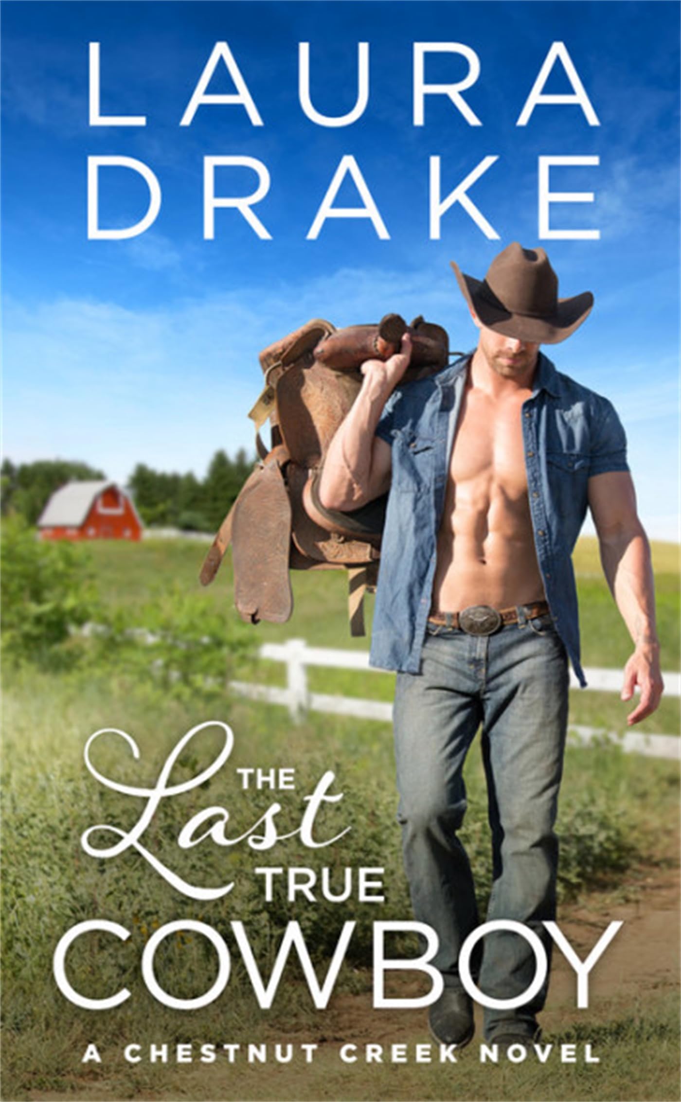 The Last True Cowboy: Drake, Laura: 9781538746431: Amazon.com: Books