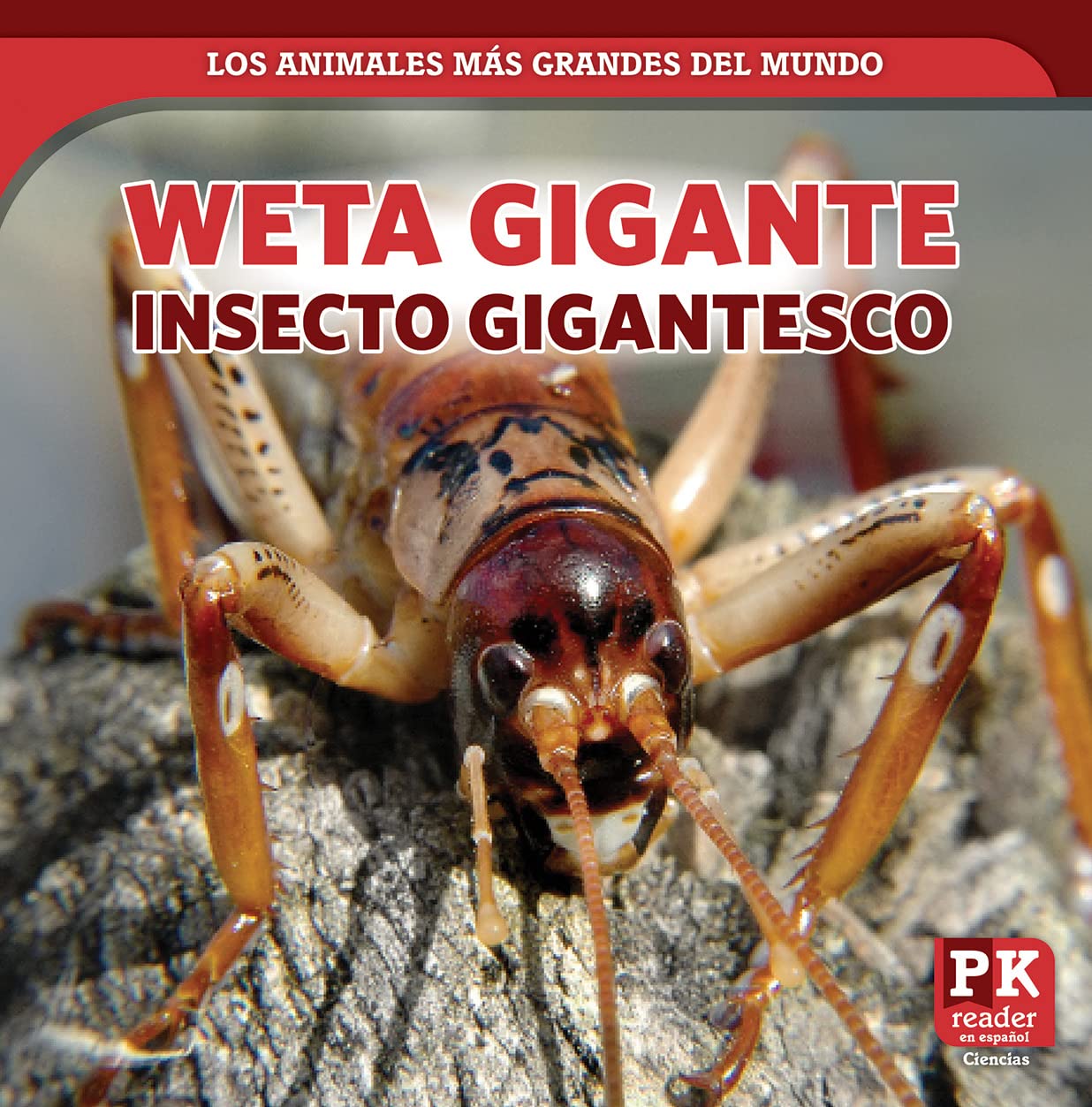 Weta Gigante: Insecto Gigantesco (Giant Weta: Mammoth Insect): Insecto ...