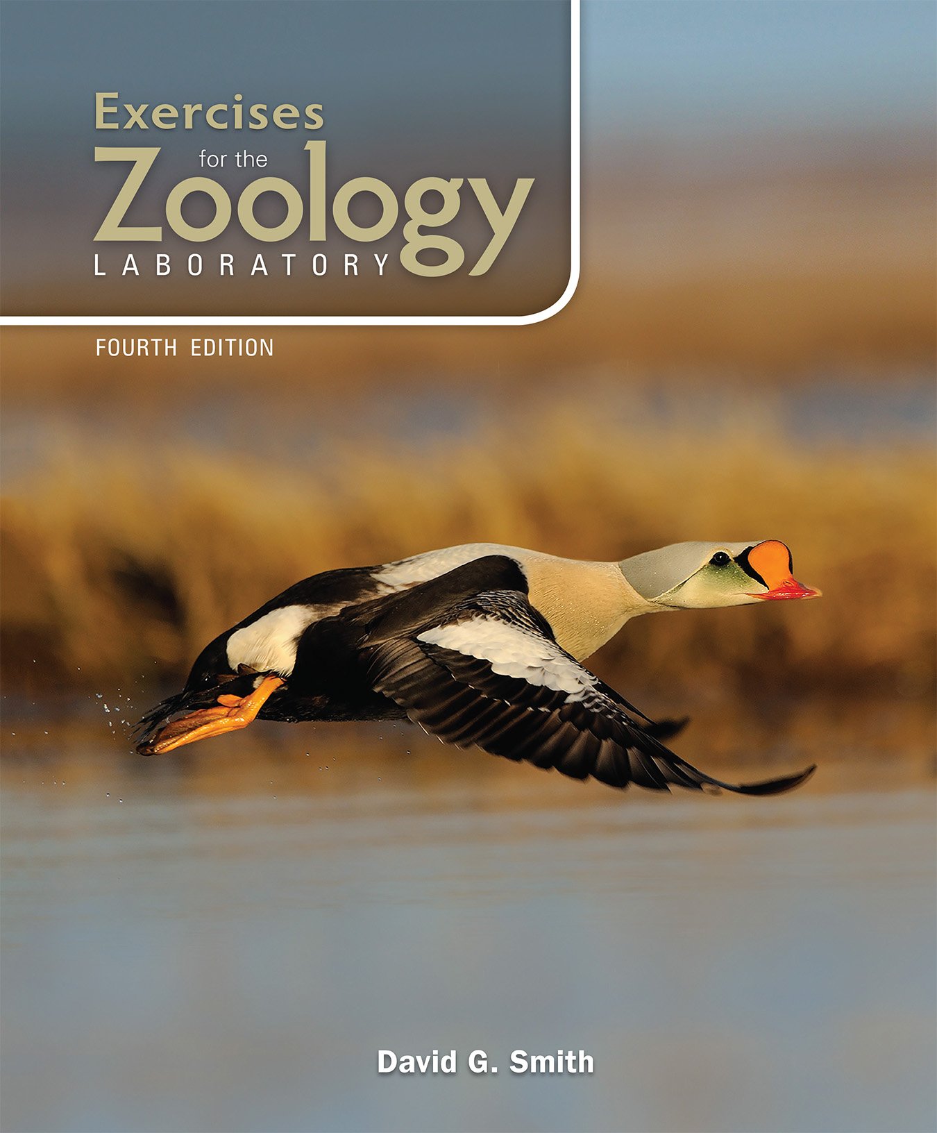 Amazon.com: Exercises for the Zoology Laboratory, 4e: 9781617317767 ...
