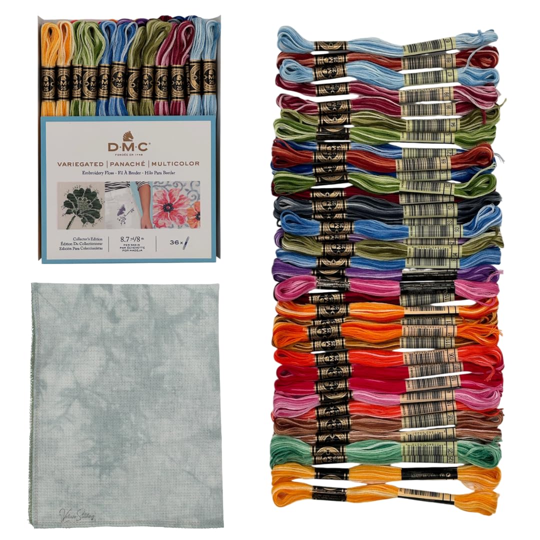 Amazon.com: Variegated Collection Embroidery Thread Bundle - DMC ...