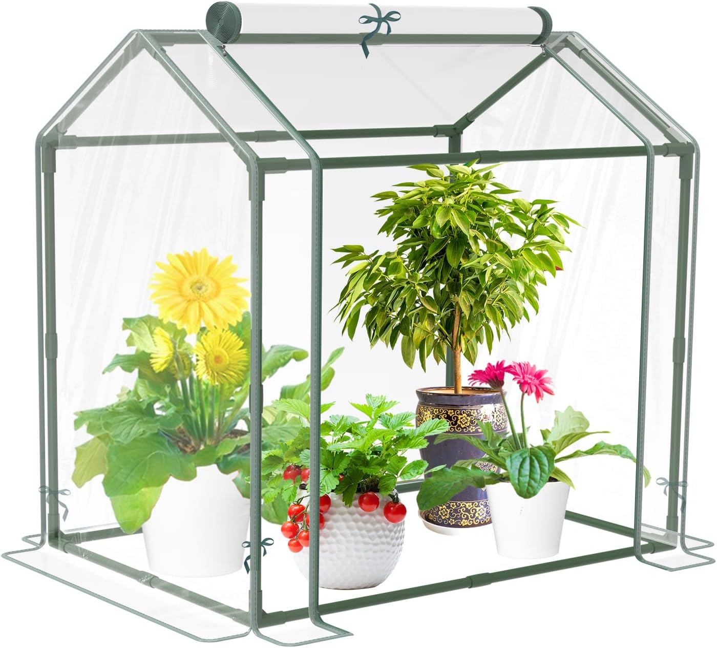 Mini Greenhouse, Durable Green House Kit with PVC Cover, Greenhouse for ...