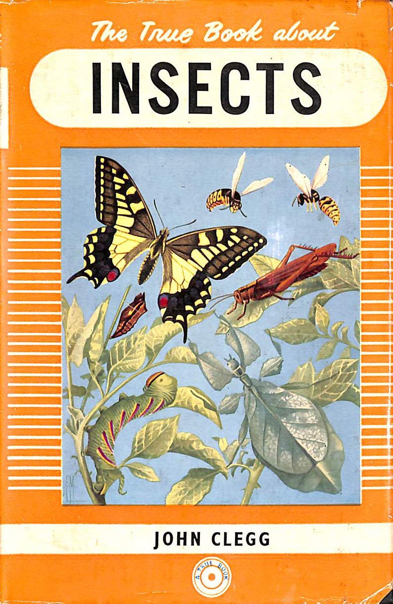 The true book about insects: John Clegg: Amazon.com: Books