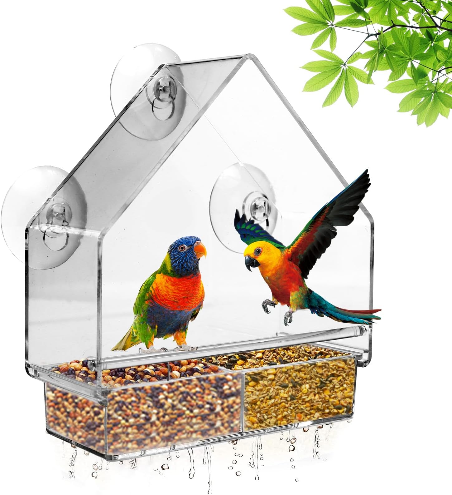 Amazon.com : Window Bird House Feeder with Extra Strong Suction Cups ...