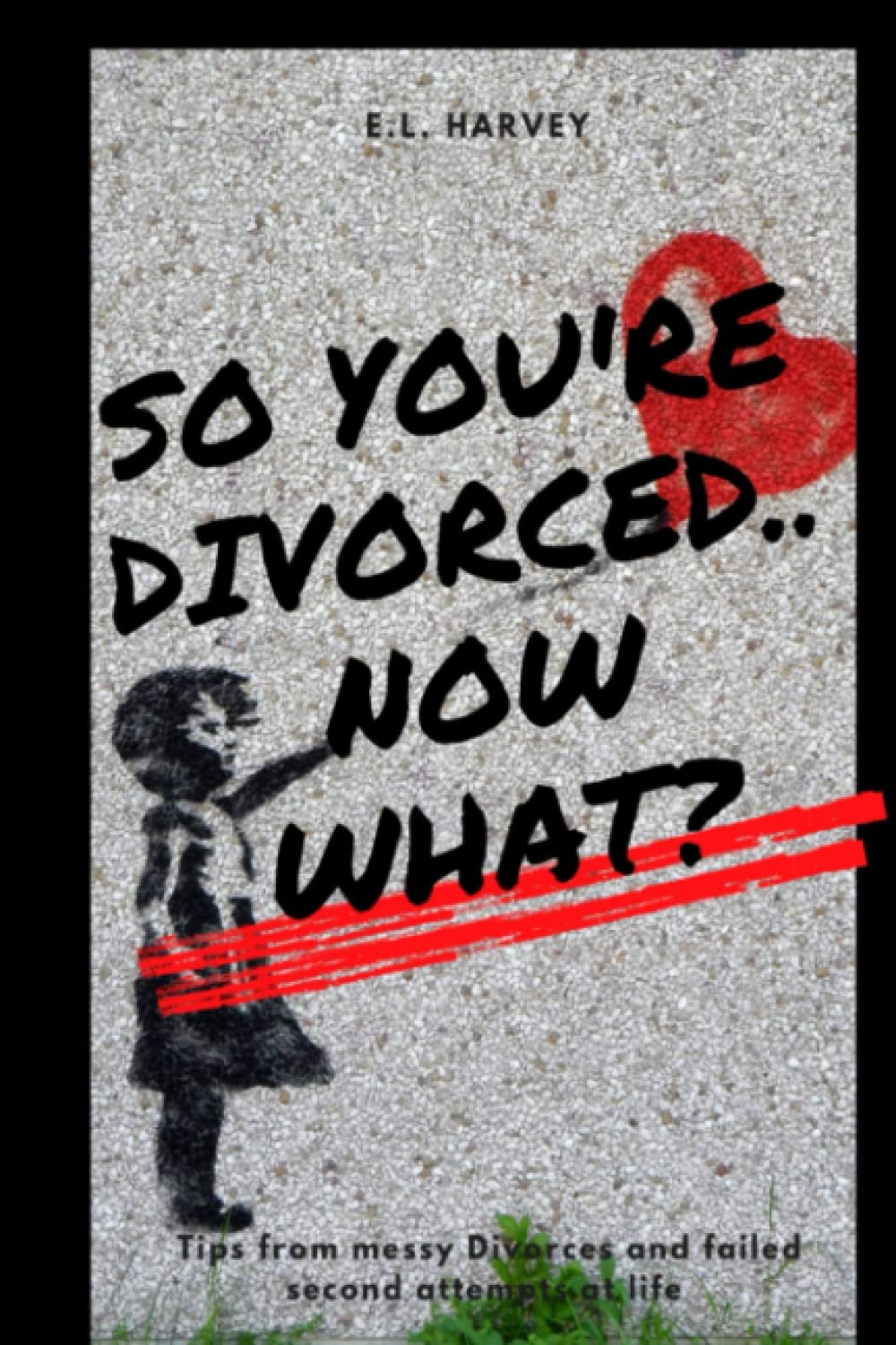 So You're Divorced, Now What?: Tips from a Messy Divorce and failed ...