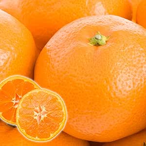 Amazon | 和歌山みかん 温州みかん 2L 3L サイズ混合 傷あり 約 4kg | くだもの観覧車 | みかん・柑橘類 通販
