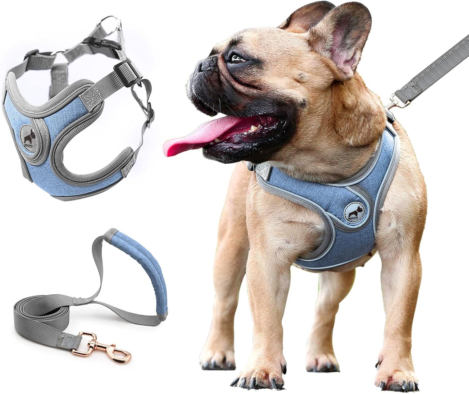 SAEGYPET Dog Harness with Leash Set, No Pull Adjustable Step in Dog ...