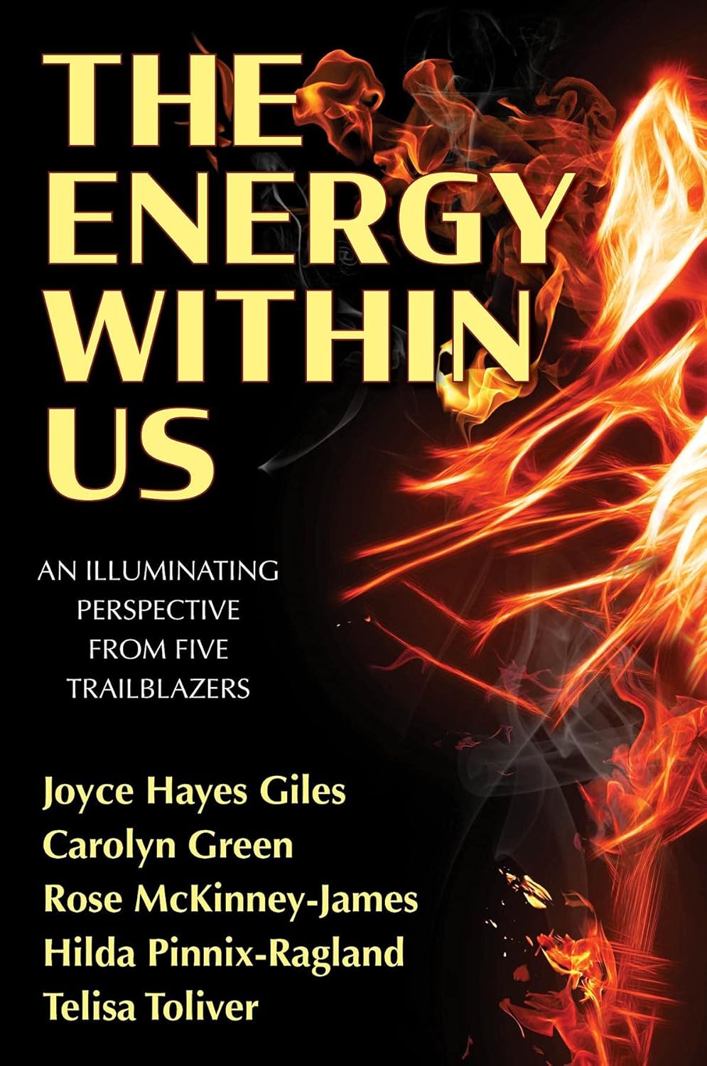 Amazon.com: The Energy Within Us: An Illuminating Perspective from Five ...