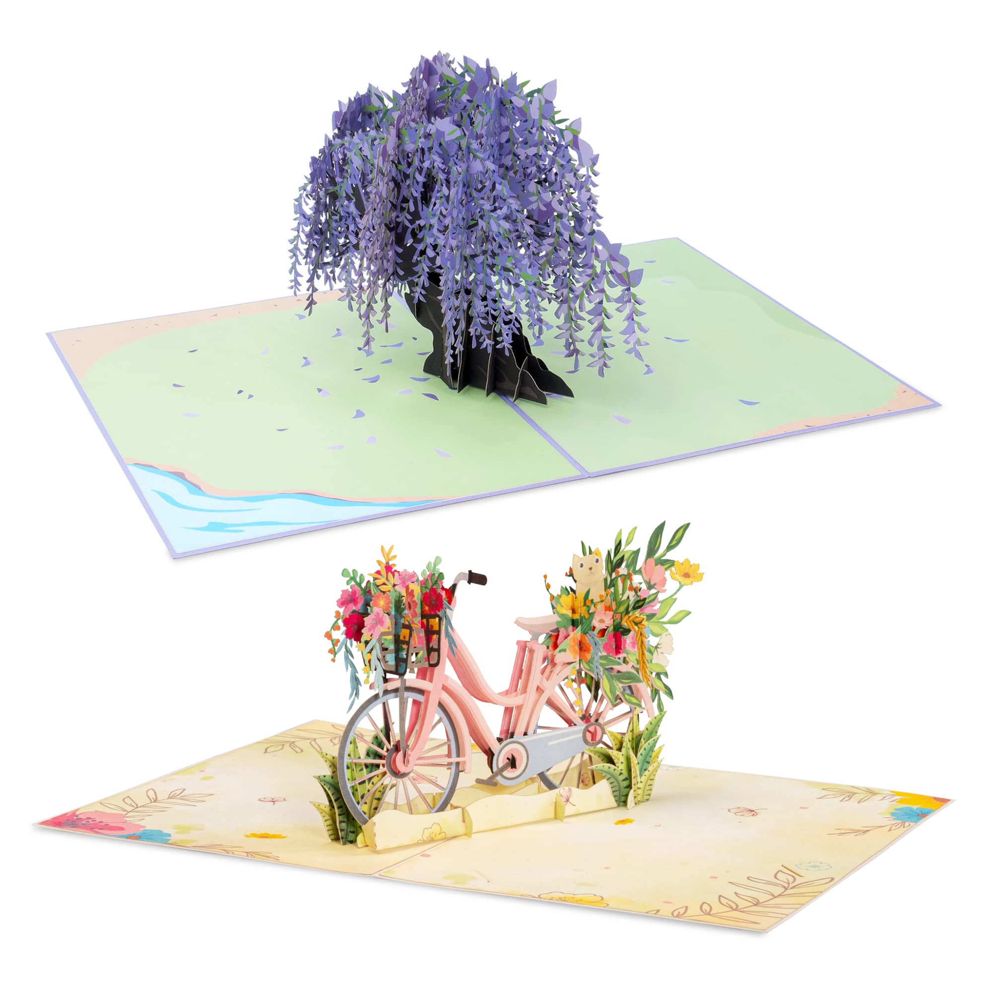 Amazon.com : Paper Love Pop Up Cards 2 Pack - Includes 1 Wisteria Tree and 1 Spring Flower Bike ...