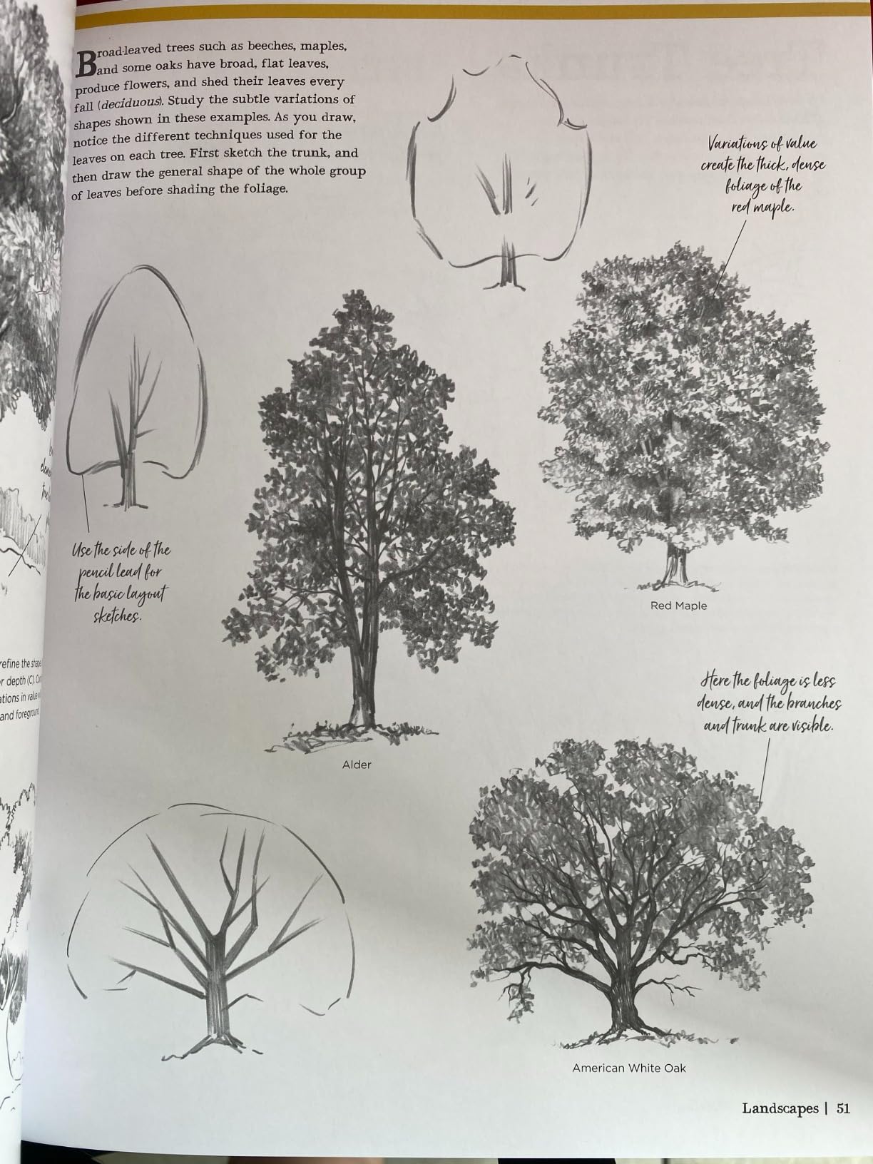 Big School of Drawing: Well-explained, practice-oriented drawing ...