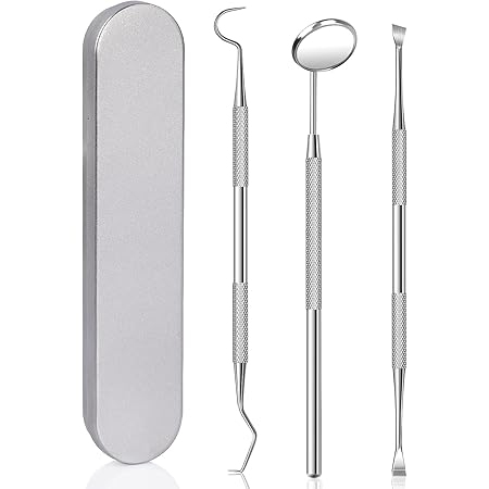 Amazon.com: Dental Tools, 10 Pack Professional Plaque Remover Teeth ...