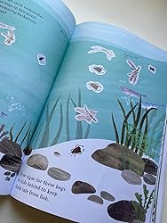 The Big Sticker Book of Bugs (The Big Book Series, 8): Zommer, Yuval: 9780500651346: Amazon.com ...