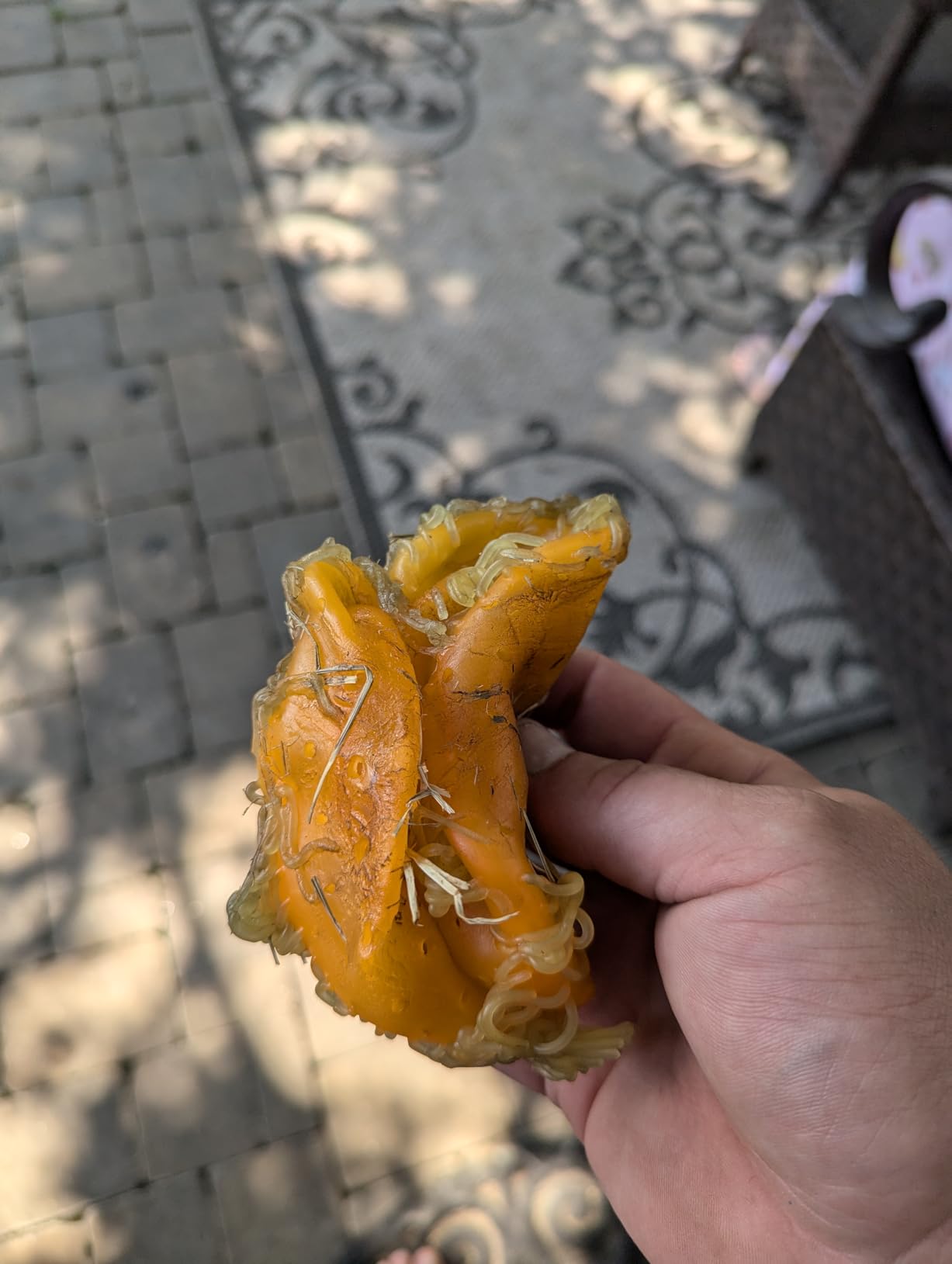 Amazon.com: Banzai Green Aqua Saucer Pool Toy 5" Disk (Soak It and ...