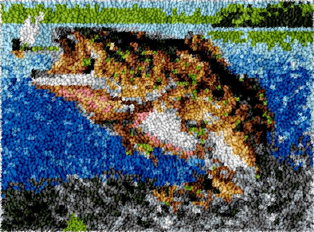 Amazon.com: Fishing Fish Latch Hook Rug Kits with Printed Patterns for ...