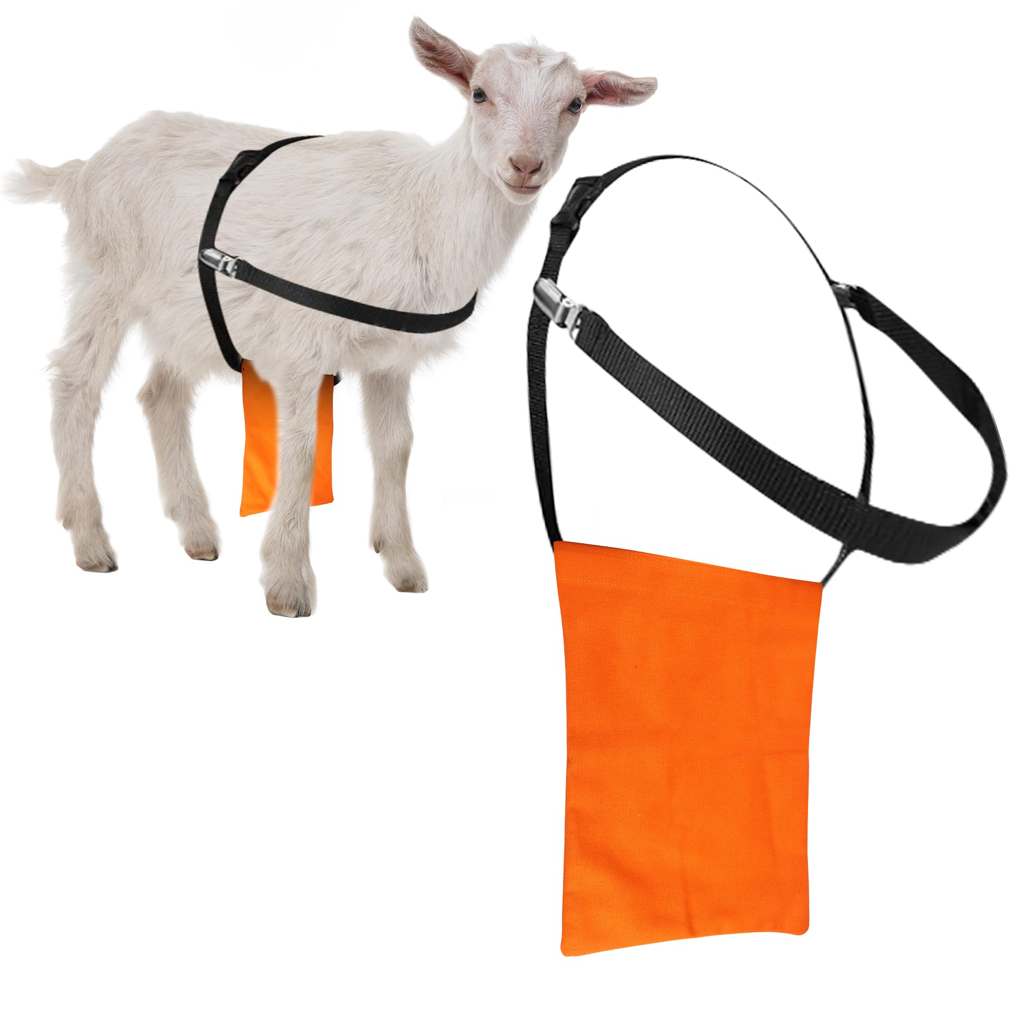 Amazon.com : ASOOLL Goat Breeding Control Skirt,Anti Breeding Goat ...
