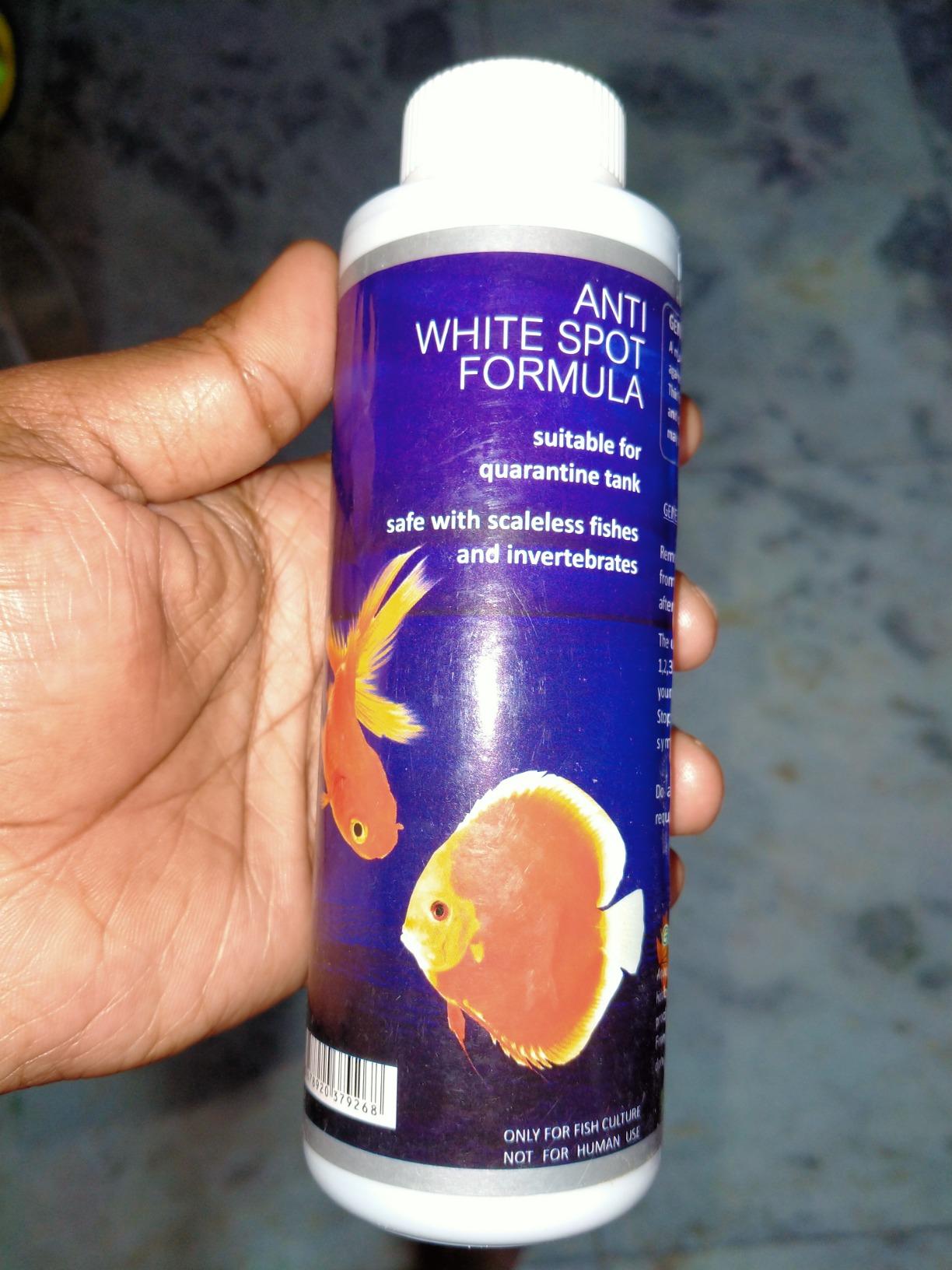 Buy Aquatic Remedies General Cure Aquarium Medicine, 220 ml, White ...