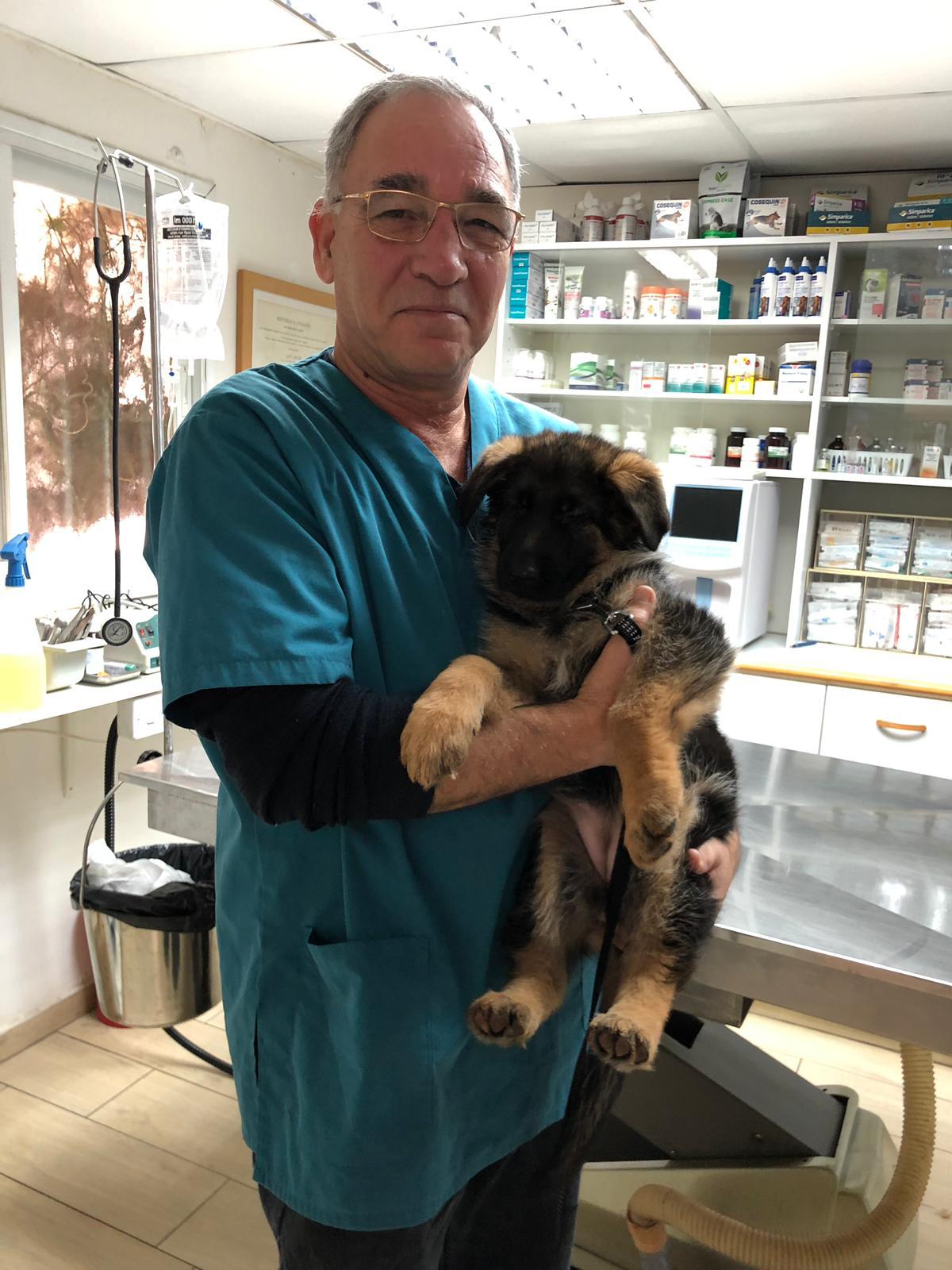 Amazon.com: Dr. Jacob Lavi: books, biography, latest update