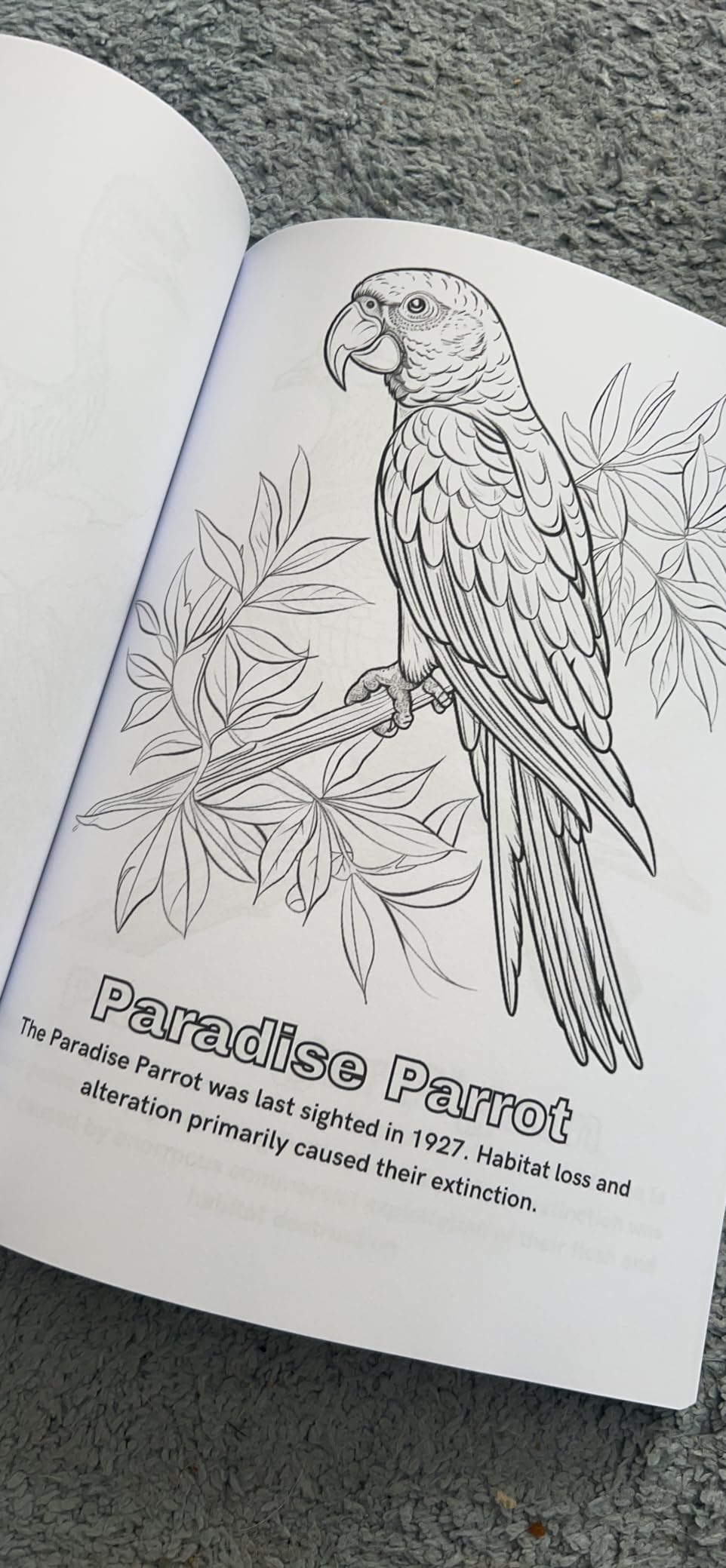 EXTINCT Animals Colouring Book & Fun Facts for Kids: Learn & Colour ...