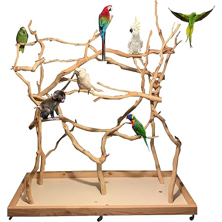 Amazon.com : ExoticDad Large Bird Tree Stand – Large Birds Perch Stand ...