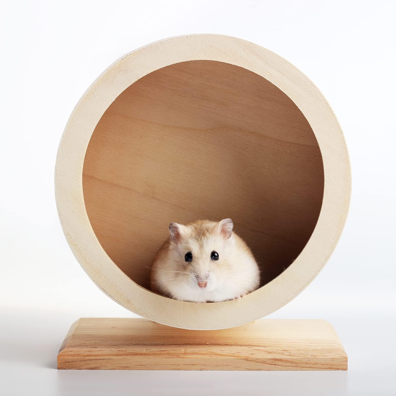 Savic Hamster Rolly Jumbo Wheel : Amazon.co.uk: Pet Supplies