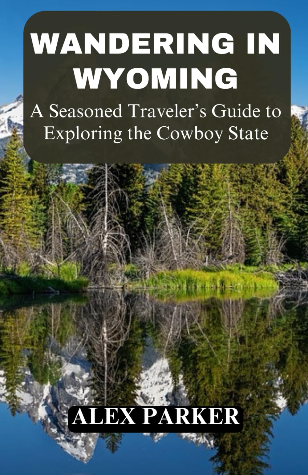 Wandering in Wyoming: A Seasoned Traveler’s Guide to Exploring the ...