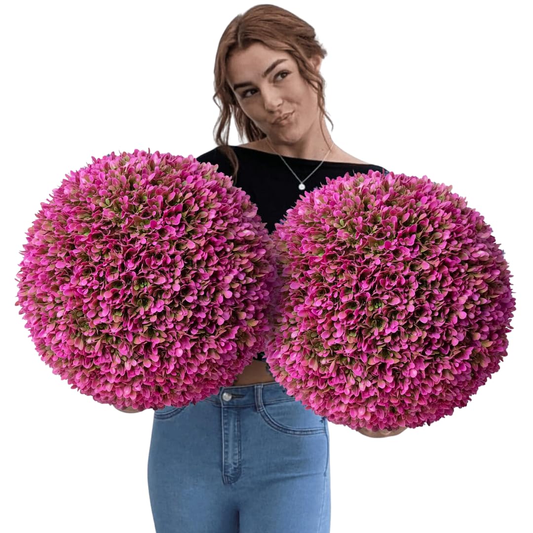 Amazon.com - 365 Curb Appeal Set of 2 Large Topiary Balls (Hot Pink)