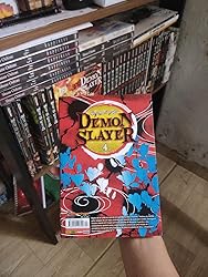 Demon Slayer - Kimetsu No Yaiba Vol. 4 | Amazon.com.br