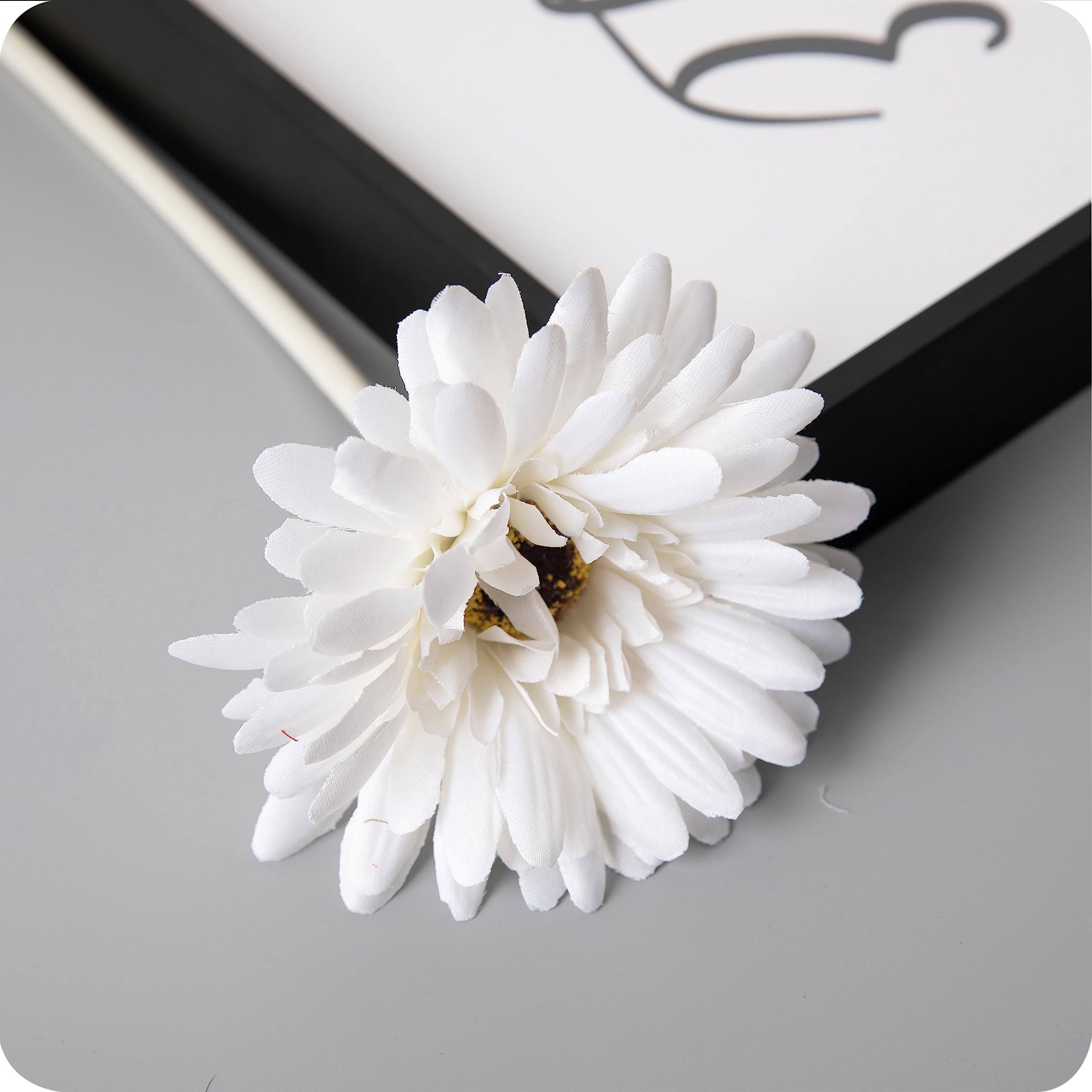 White Gerbera Daisy With Stem