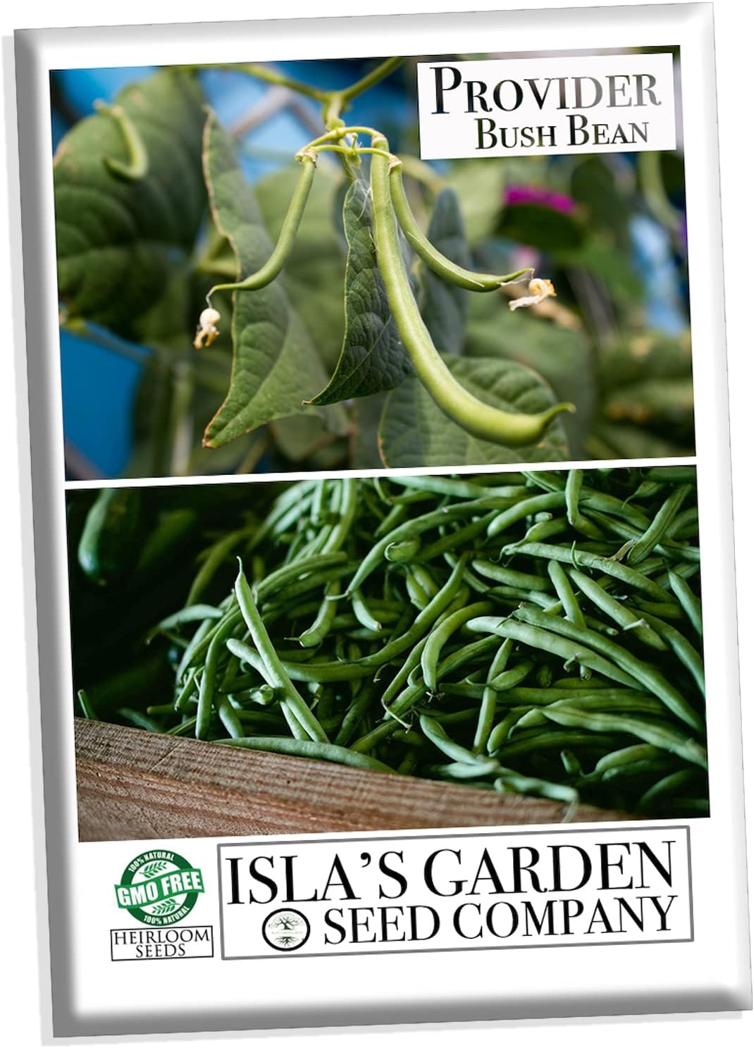 Amazon.com : Provider Bush Green Bean Seeds for Planting, 30+ Heirloom ...