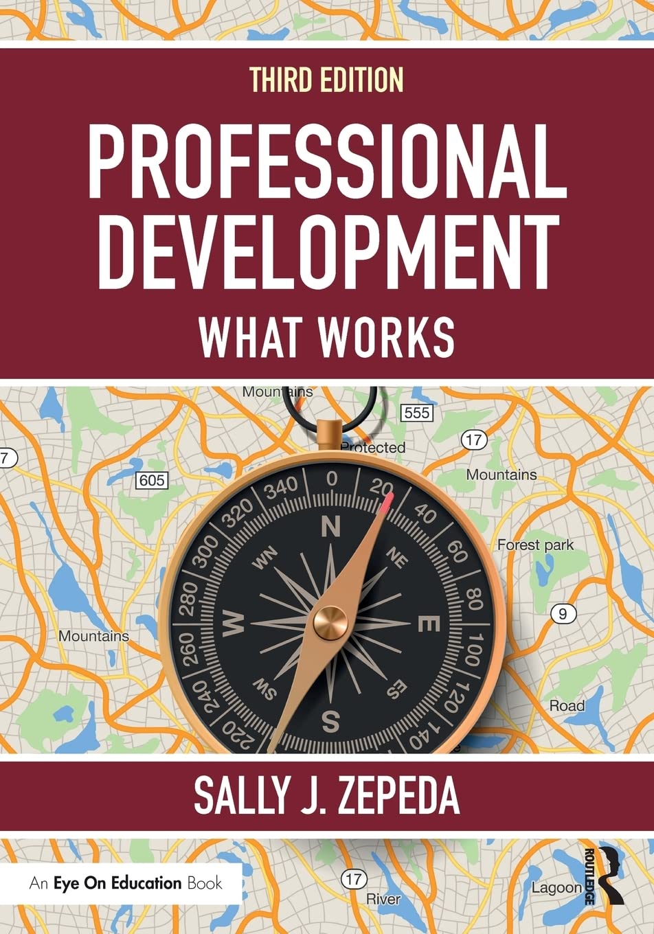 Professional Development: What Works: Zepeda, Sally J.: 9781138230156 ...