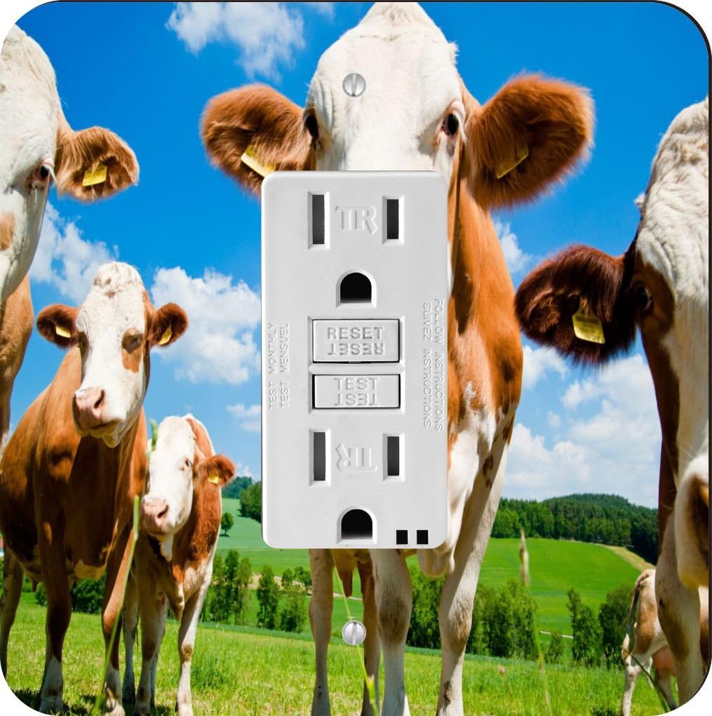 Amazon.com: Rikki Knight Simmental Cows Single GFI Light Switch Plate ...