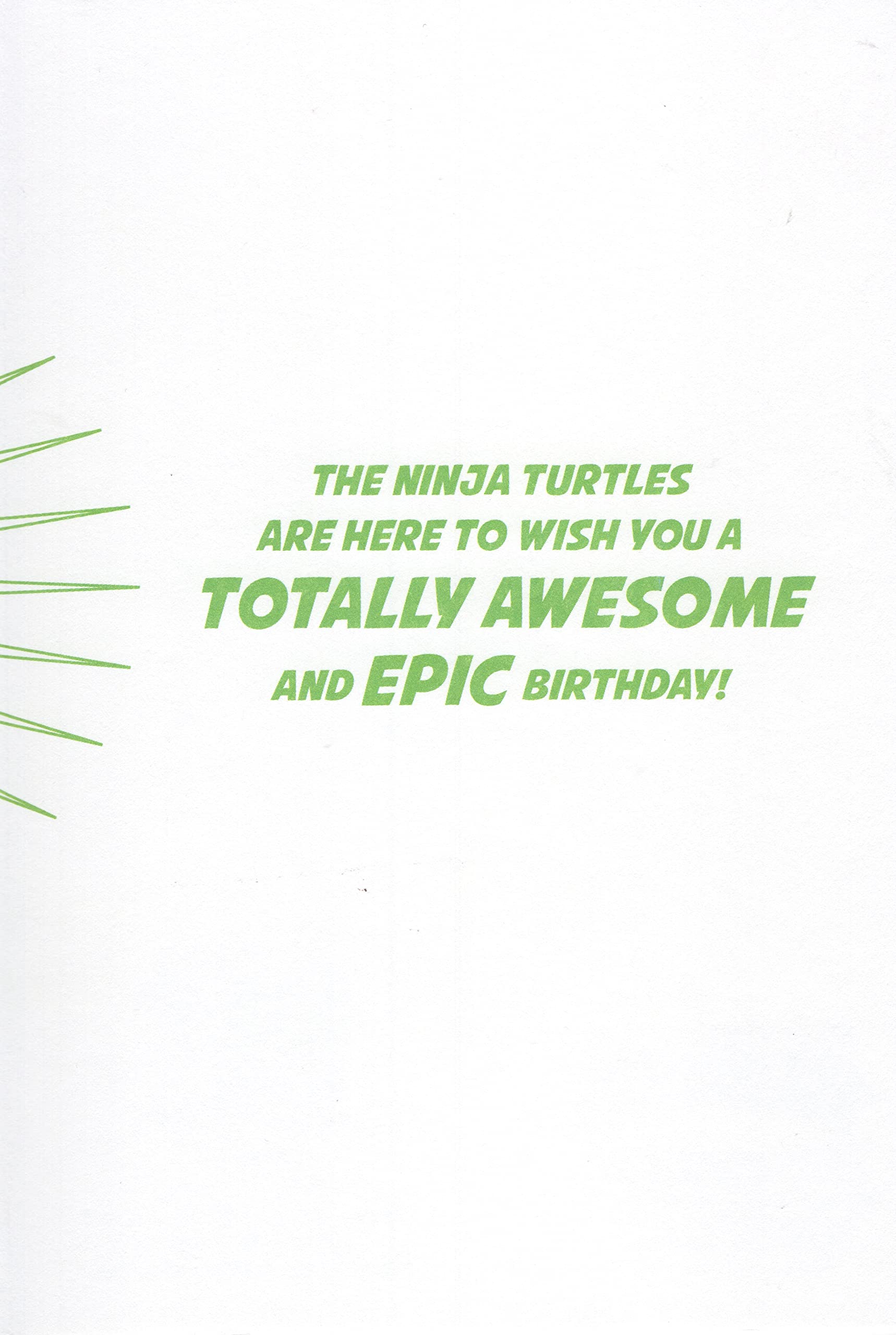 Ninja Turtles Happy Birthday Quotes Four, Raphael, Ninja Turtles