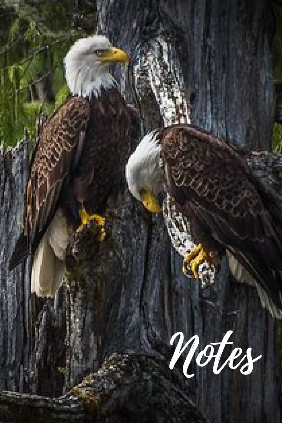 Bald Eagle Journal: beautiful bald eagles gift for animal lovers (blank ...