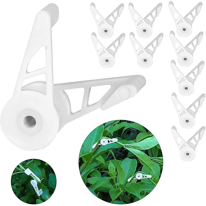 Buy 90 Degree Plant Training Bender Tomato Branches Bender for Low ...