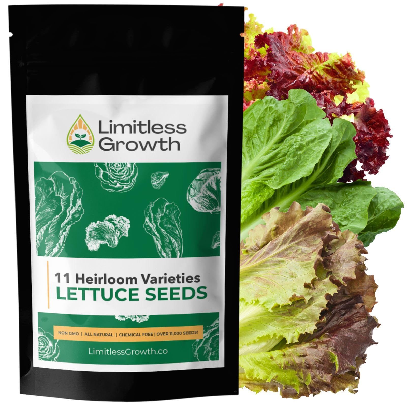 Lettuce Seed Variety Pack - 11 Heirloom Varieties - 11,000+ Seeds! Non ...