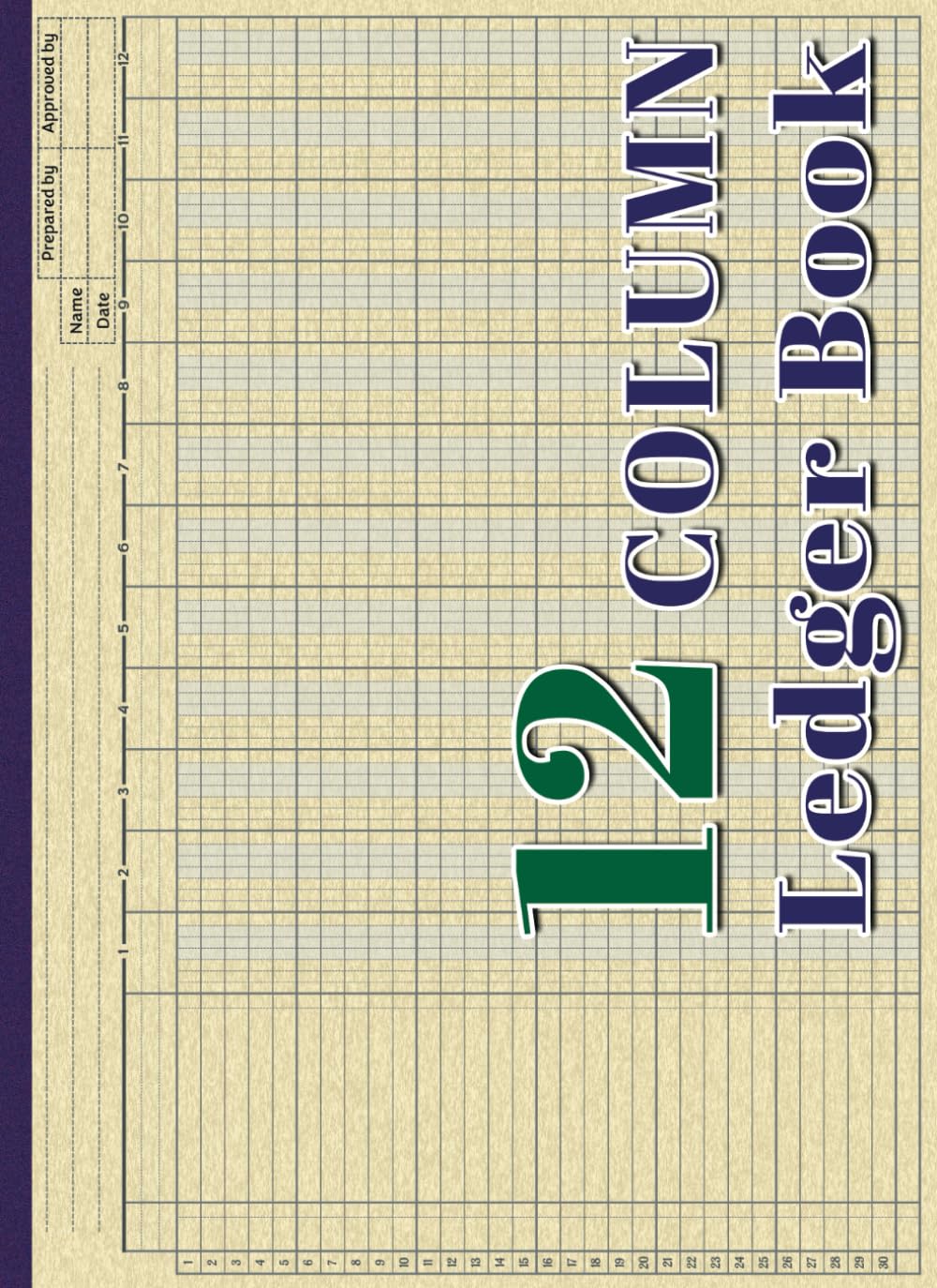 Amazon.com: 12 Column Ledger Book: Large Print Accounting Ledger Book ...