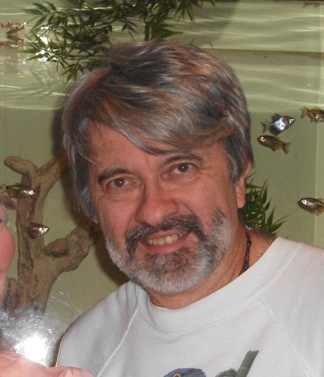 Amazon.com: Thomas Peace: books, biography, latest update