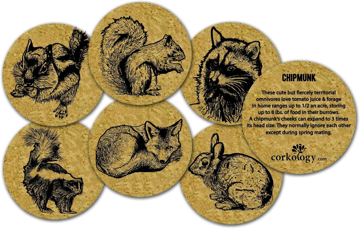 Amazon.com | Corkology Urban Critters Coaster Set, Cork: Coasters