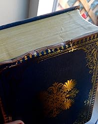 Amazon.com: Punch Studio Library Small Nesting Book Boxes With Gold ...