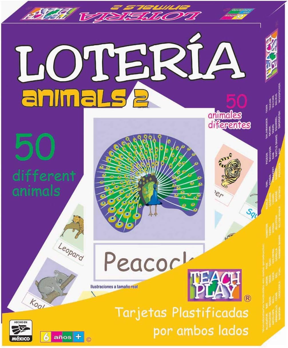 TEACH PLAY | Juego de Lotería Didáctica para Niños y Adolescentes de ...