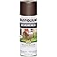 Amazon.com: Rust-Oleum 7213830 Stops Rust Hammered Spray Paint, 12 Oz, Silver, 12 Ounce (Pack of ...