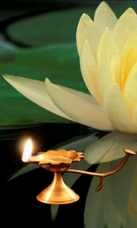 Diwali Deeya (Diya) - App on Amazon Appstore