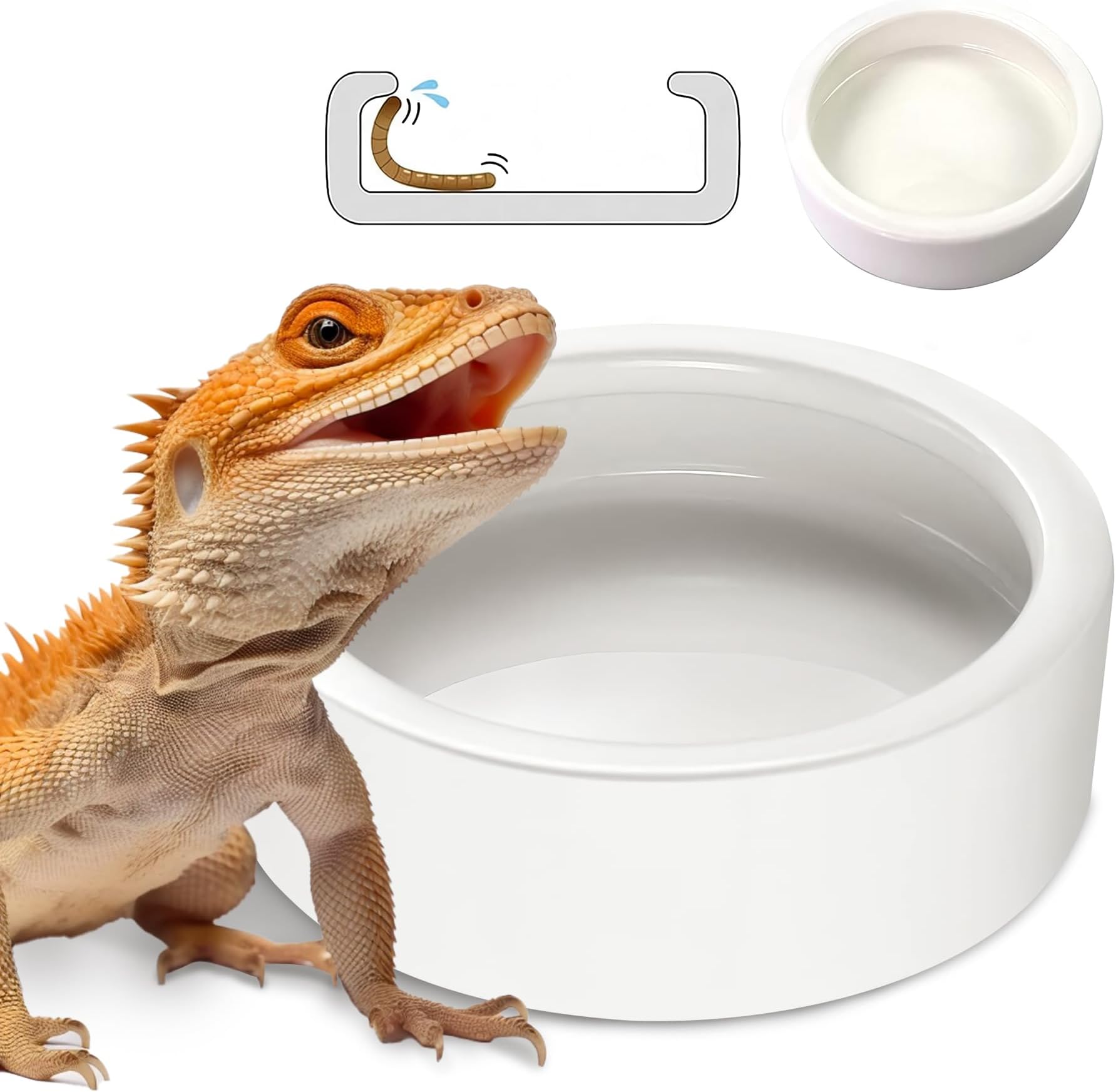 Amazon.com : TDPET Ceramic Mini Reptile Worm Dish - Lizard Escape Proof ...
