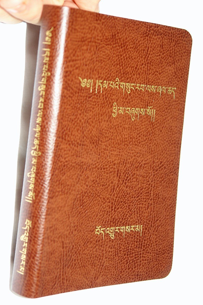 New Tibetan Bible (New Testament): Na: 9789628457229: Amazon.com: Books