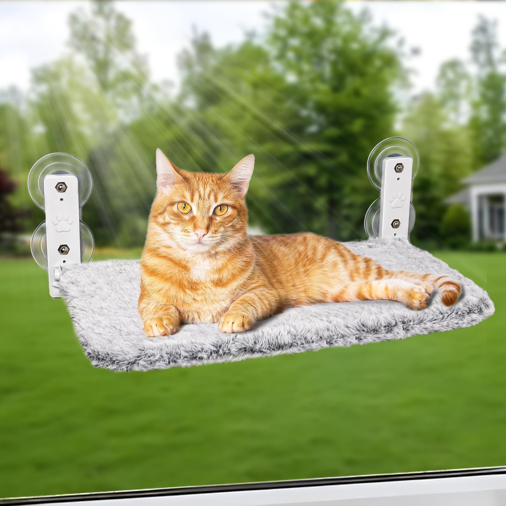 Cat Window Perch, Foldable Cat Hammock Window Bed, Robust Metal Frame ...